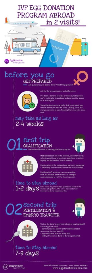 IVF With Donor Egg Process Abroad: Guide 2026