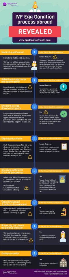 IVF With Donor Egg Process Abroad: Guide 2025