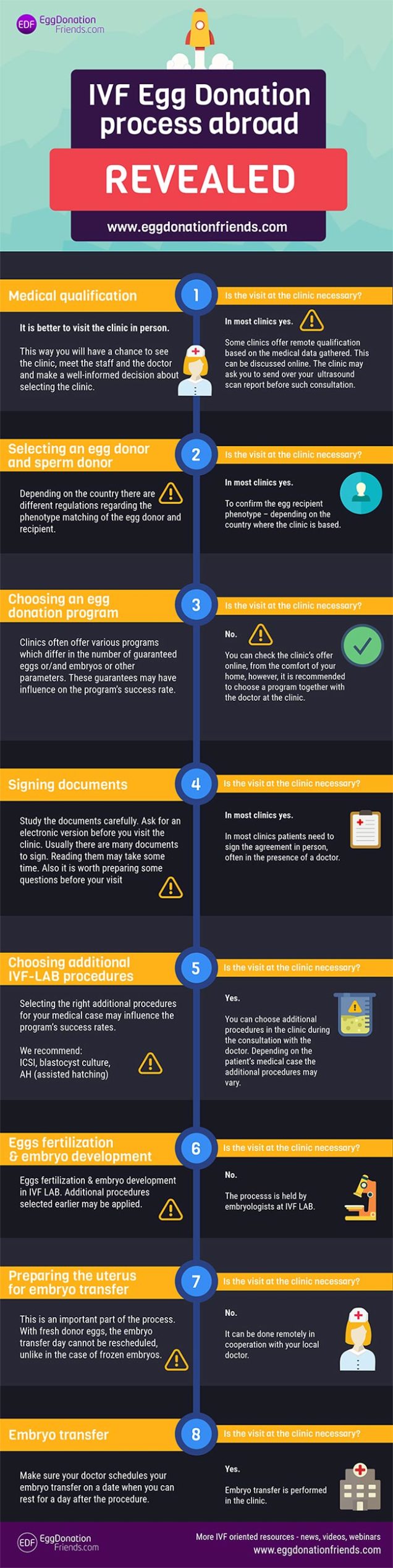 IVF With Donor Egg Process Abroad: Guide 2025