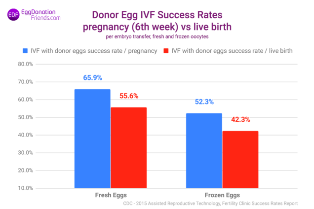 Donor Egg IVF Success Rates - What Clinics Don’t Tell You